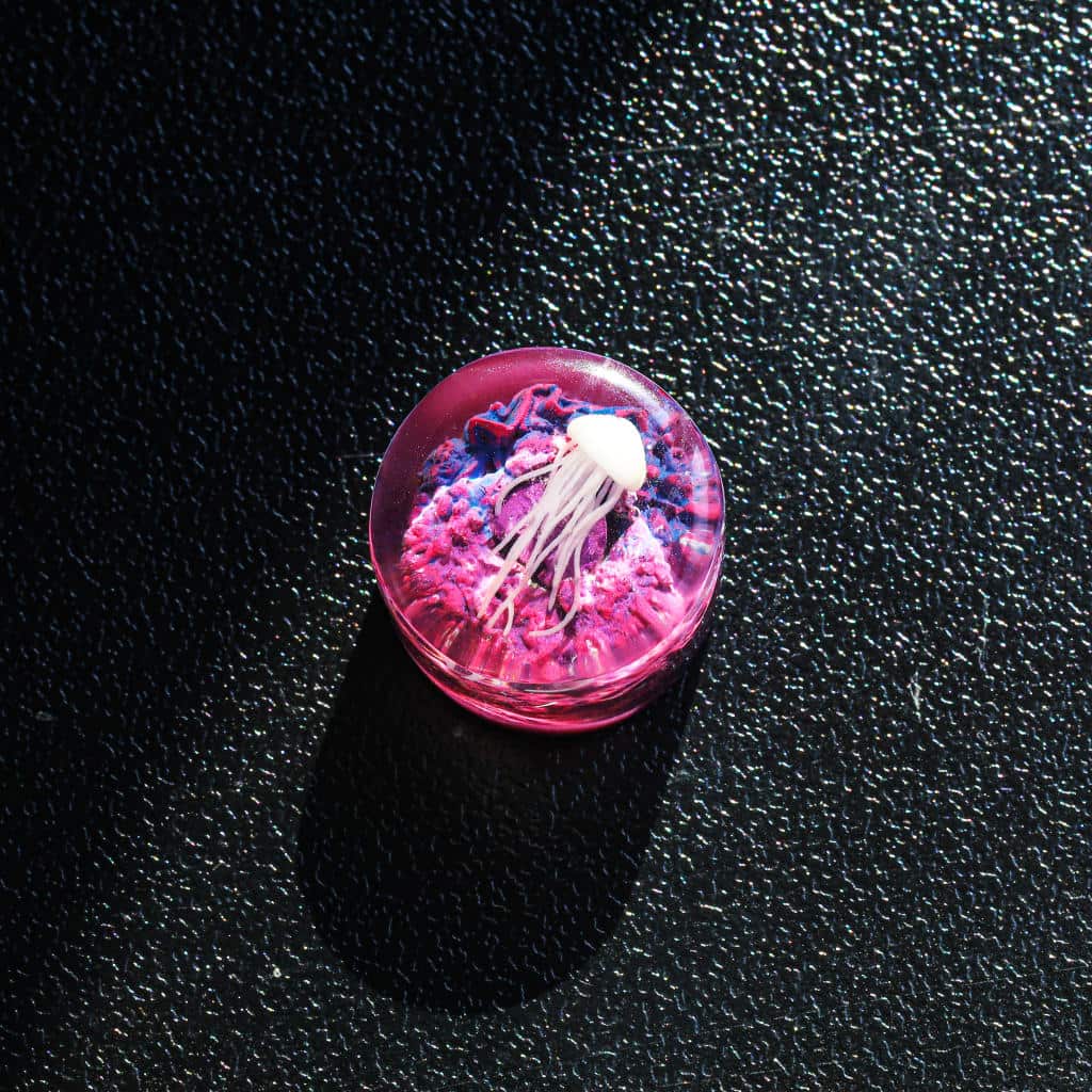 Jellyfish Volume Switch Knobs keycap – Egoartbyvan