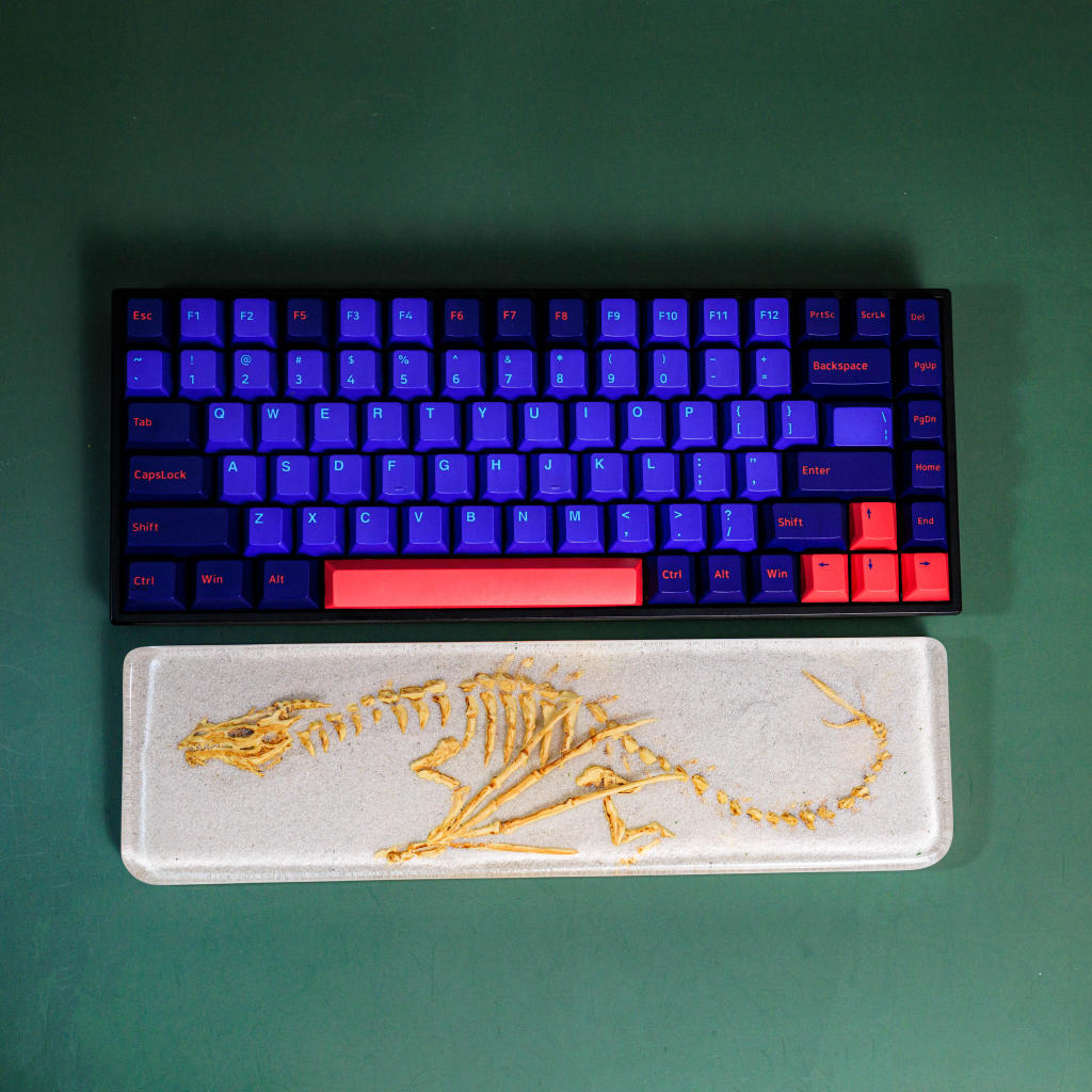 Fossil Dragon Keyboard Wrist Rest – Egoartbyvan